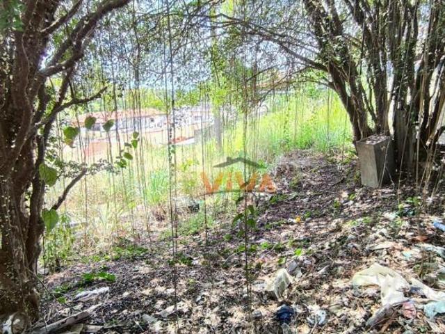 Terreno, 323 m² por R$ 280.000 Jardim das Jabuticabeiras Franco da Rocha/SP