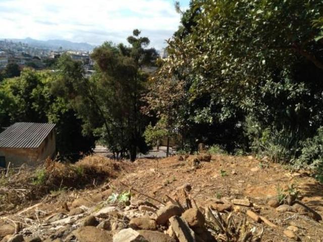 Terreno
