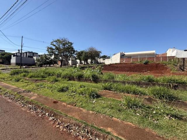 Terreno