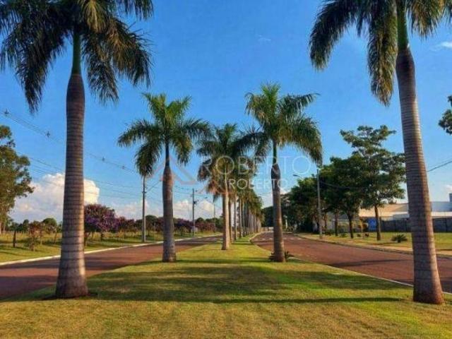 TERRENO 337 M² À VENDA CONDOMÍNIO BOUGANVILLE RESIDENCE &amp  RESORT EM PARANAVAÍ ´PR