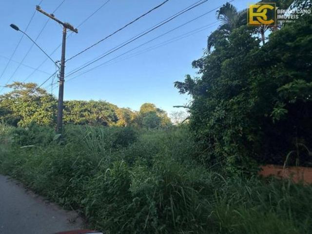 Terreno 3.200m² em Rua Asfaltada – Ideal para Chácara em Peruíbe