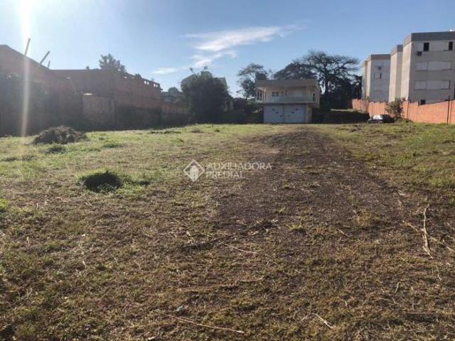 Terreno 3.250 m² + Casa 400 m² ? Localização estratégica perto da Free Way