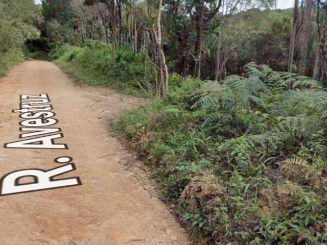 Terreno 3.600 em Mato Dentro Francisco Morato