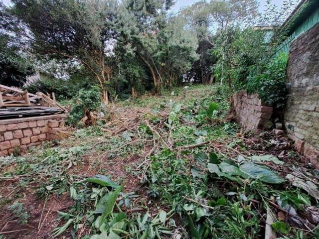 Terreno 440 Metros Bairro Espírito Santo