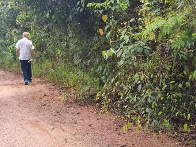Terreno