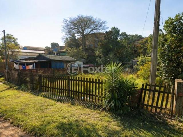 Terreno, 450 m², em Aparecida