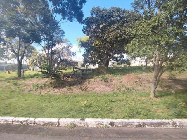 Terreno