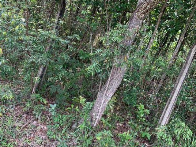 Terreno para venda em São Sebastião, Betim
