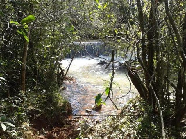 Terreno 45ha a venda, Asfalto, Rio, Poste de Luz entre Ouro Preto e Lafaiete!
