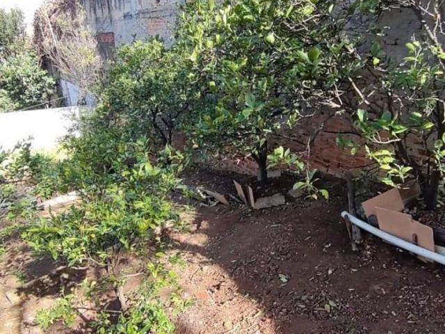 Terreno 464m² à venda na Vila Gustavo Zona Norte São Paulo