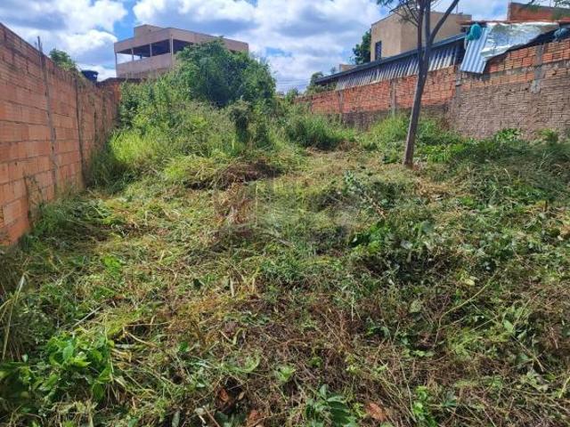 Terreno