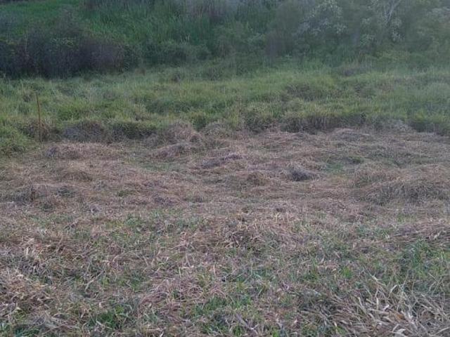 Terreno