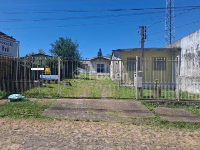 Terreno, 480 m², em Cecília