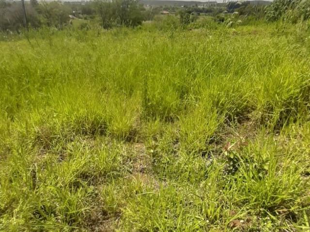 Terreno 480 m² Ibaiti/Pr