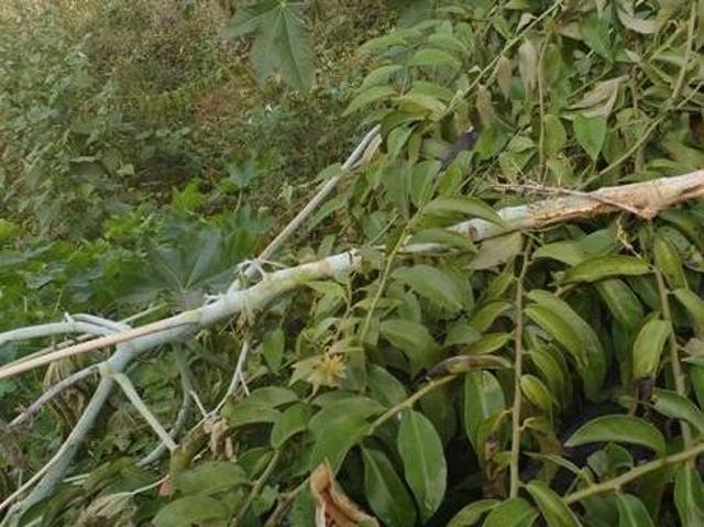 Terreno para venda em Icaivera, Betim