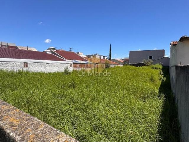 Terreno