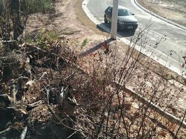 Terreno