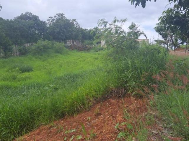 Terreno