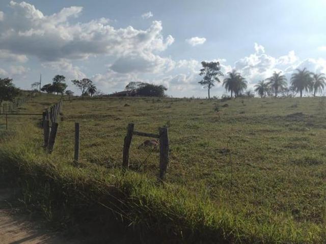Terreno