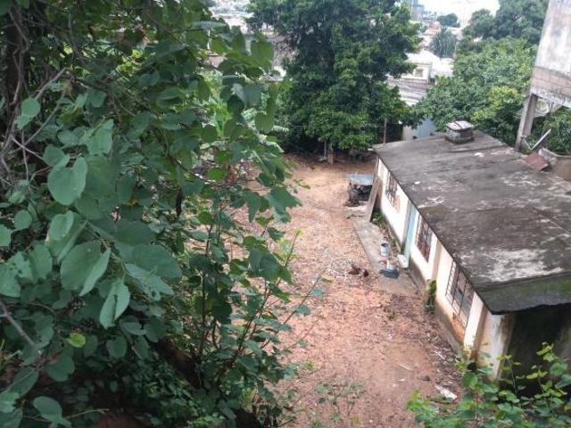 Terreno