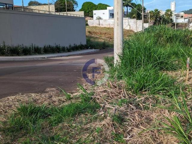 Terreno