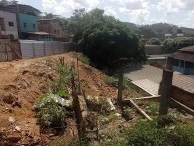 Terreno