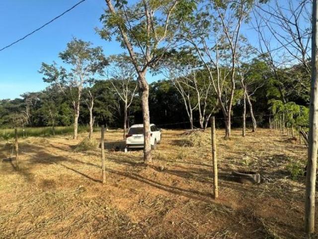 Terreno