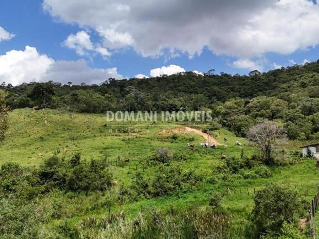 Terreno para venda em Centro, Congonhal