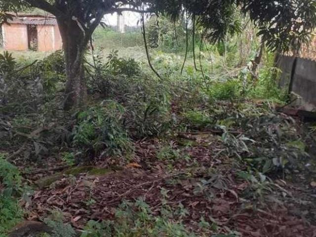 Terreno