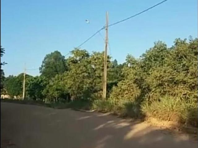 Terreno