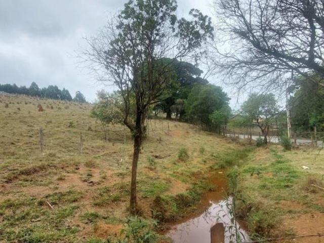 Terreno