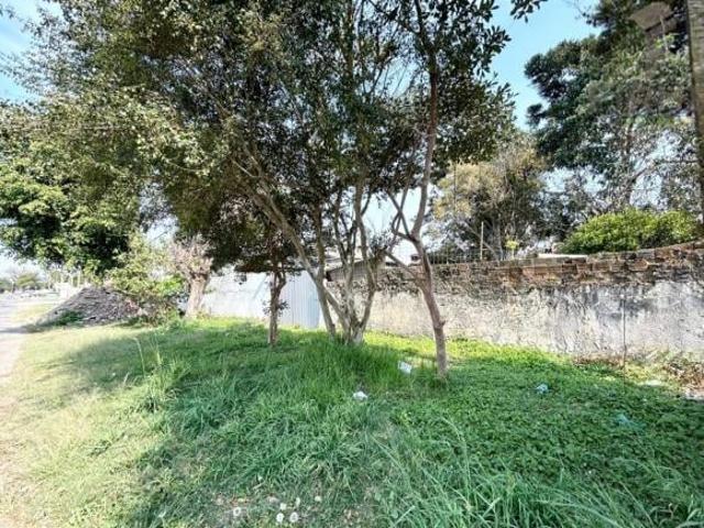 Terreno