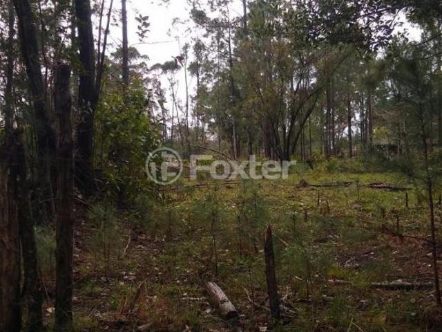 Terreno, 5877 m², em Balneário Pinhal