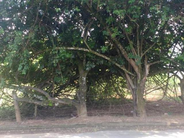 Terreno para venda em Colônia do Marçal, São João Del Rei