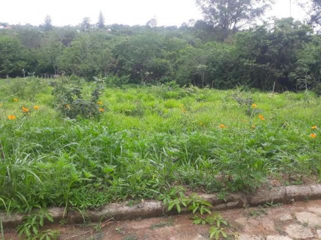 Terreno