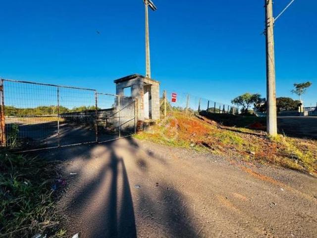 Terreno, 5000 m² venda por R$ 2.100.000,00 ou aluguel por R$ 6.990,00/mês Nova Sapucaia Sapuca