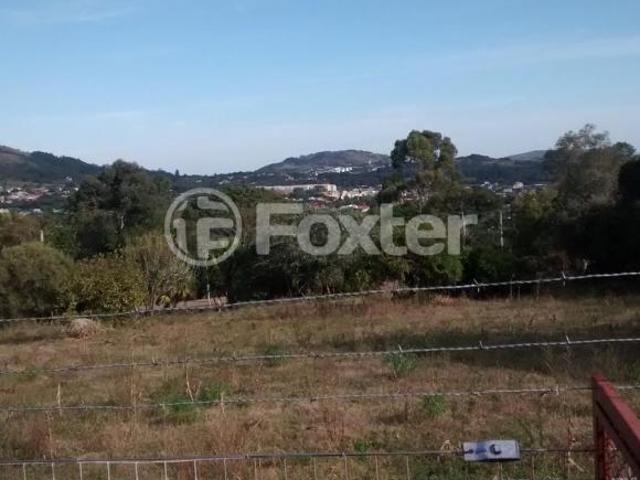 Terreno, 5000 m², em Vila Nova