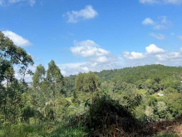 Terreno 500m² no Km 68 da Castelo Branco em Dona Catarina