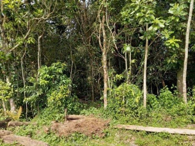 Terreno, 504m², à venda em Bertioga, Morada da Praia