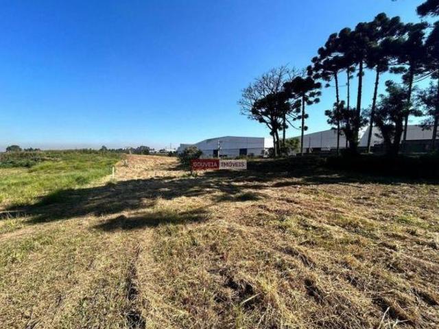 Terreno, 51000M², à Venda por R$ 15.500.000,00 Arujá, São José dos Pinhais Pr
