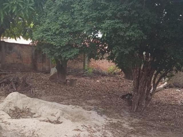 Terreno para venda em São João Batista Venda Nova, Belo Ho
