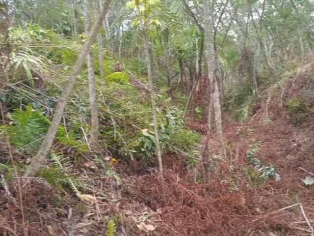TERRENO 5.130m² PEQUENA VISTA PARA REPRESA CONDOMÍNIO RECANTO DOS PÁSSAROS REPRESA DE IGARATÁ/