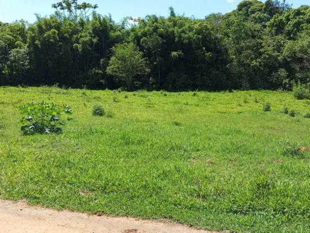 Terreno 5.300 m2 em Piracaia SP. Aceita carro