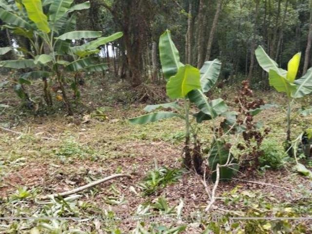 TERRENO 5.440m² BEIRA DA REPRESA CONDOMÍNIO RECANTO DOS PÁSSAROS JACAREÍ