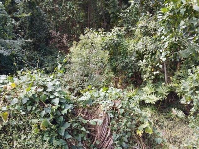TERRENO 5.520m² PÉ NA ÁGUA CONDOMÍNIO RECANTO DOS PÁSSAROS JACAREÍ