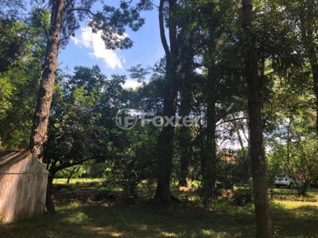 Terreno, 5 dormitórios, 5240.68 m², em Morungava