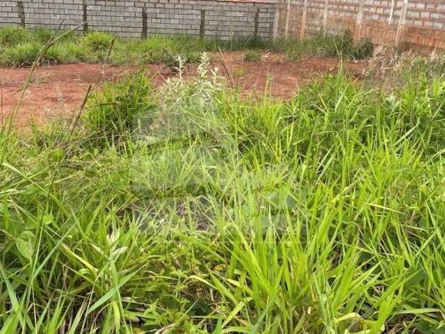 Terreno