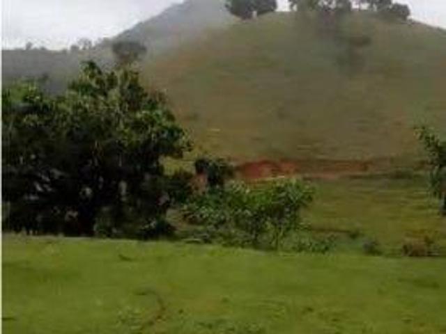 Terreno