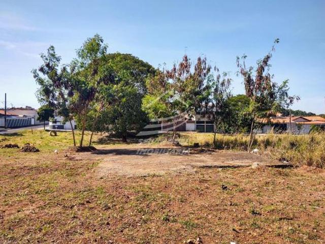 Terreno