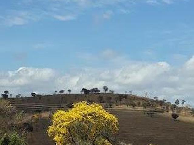 Terreno
